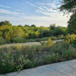 Discover Confluence Park - Live From The Southside Magazine
