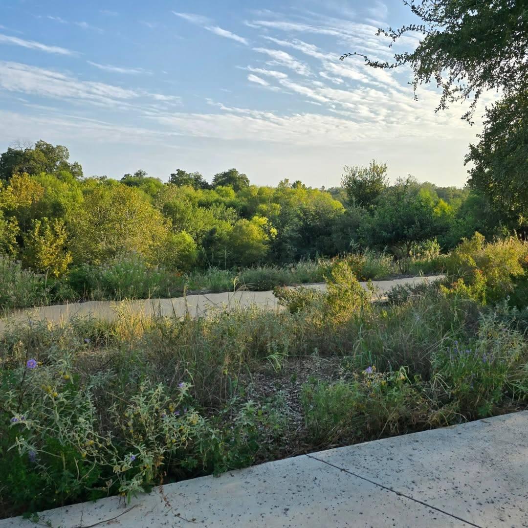 Discover Confluence Park - Live From The Southside Magazine
