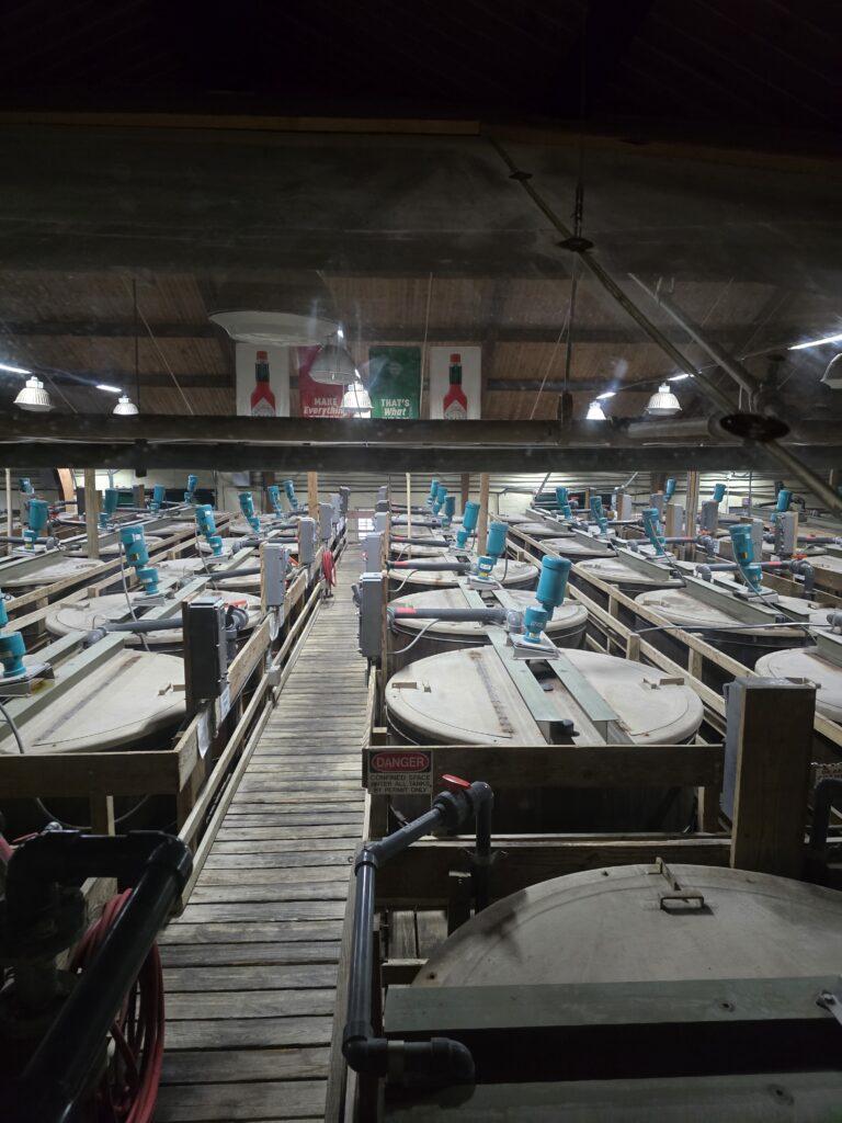 Visit the TABASCO® Factory on Avery Island, Louisiana - Live From The ...