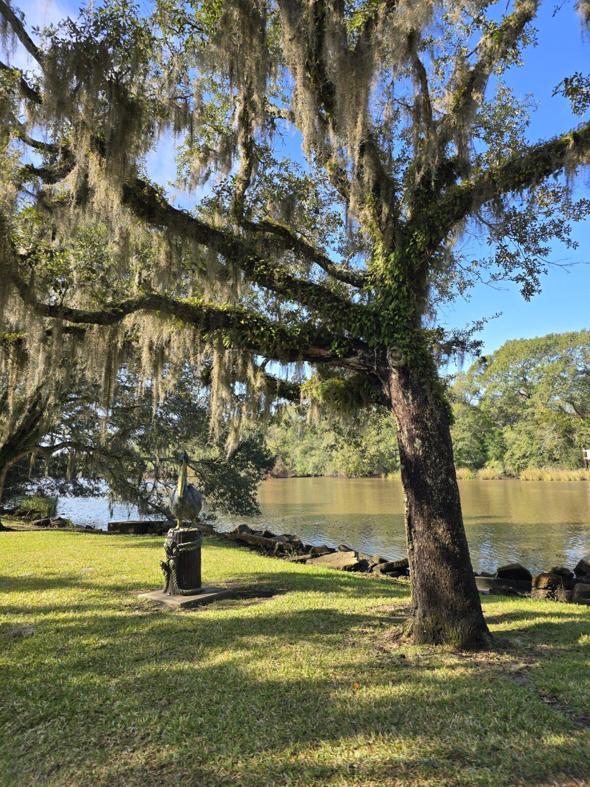 Visit the TABASCO® Factory on Avery Island, Louisiana - Live From The ...